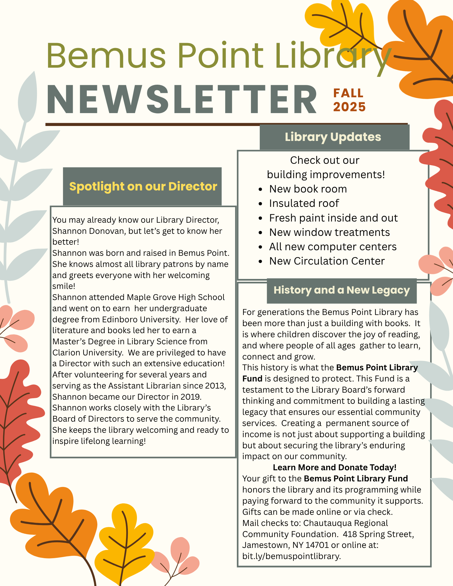 Introducing the Bemus Point Library's First Quarterly Newsletter ...